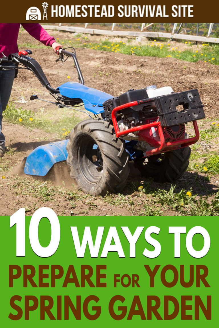 10 Ways to Prepare For Your Spring Garden