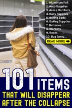 101 Items That Will Disappear After The Collapse