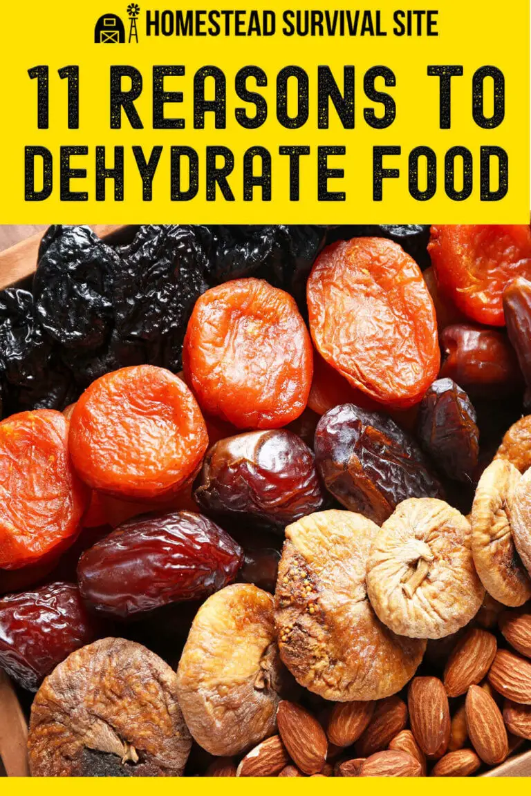 11 Reasons to Dehydrate Food