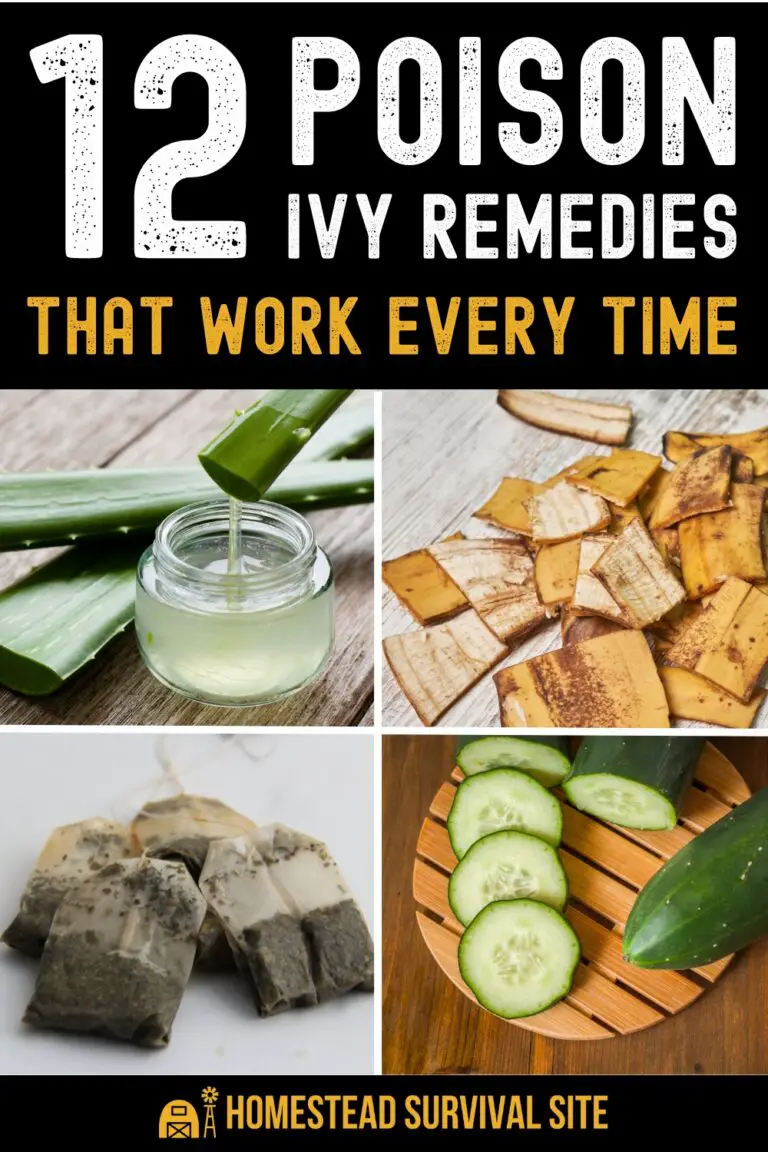 12 Home Remedies for Poison Ivy