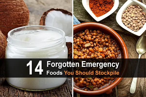 14 Forgotten Emergency Foods to Stockpile - Homestead Survival Site