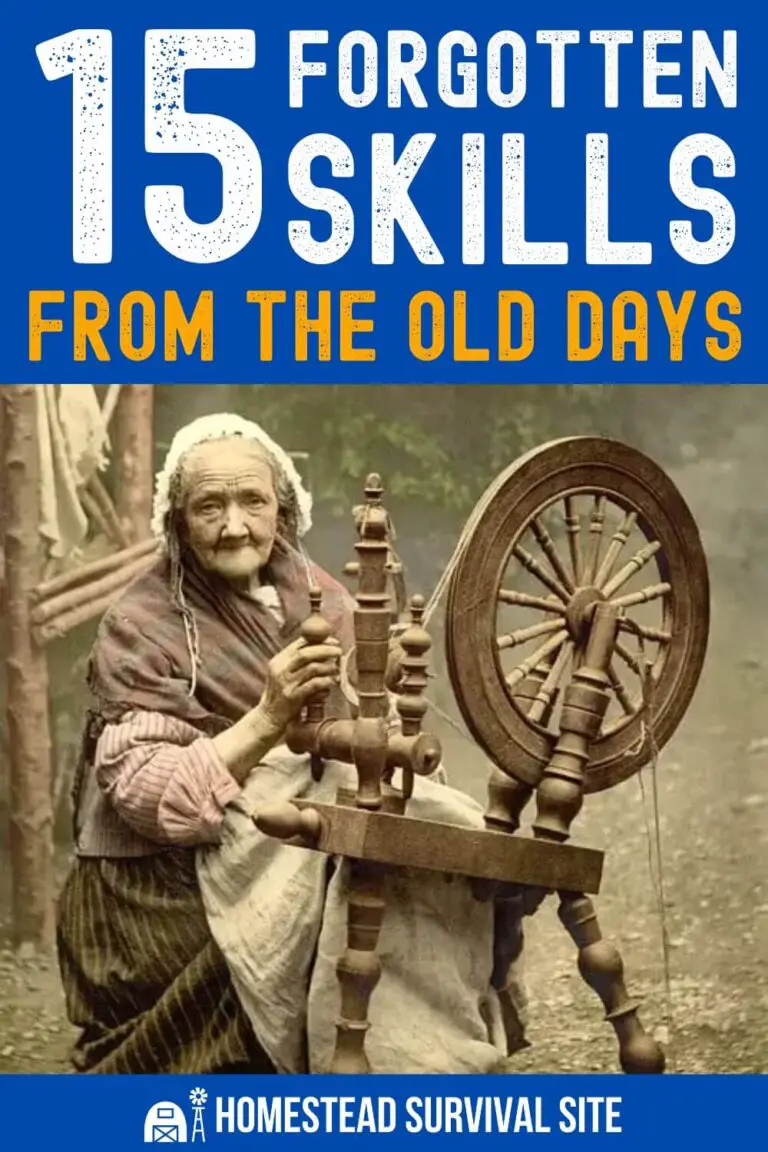 15 Forgotten Skills From The Old Days