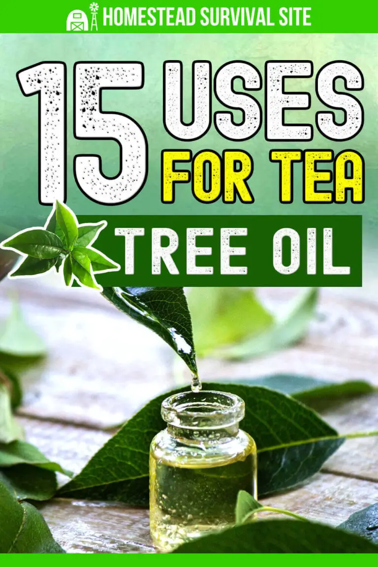 15 Uses For Tea Tree Oil