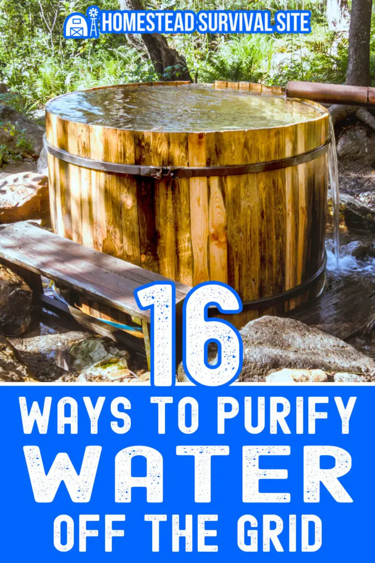 16 Ways to Purify Water Off The Grid
