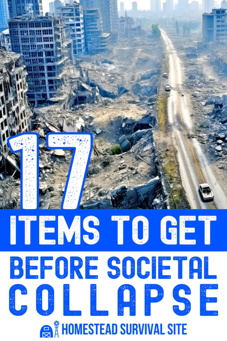 17 Items To Get Before Societal Collapse