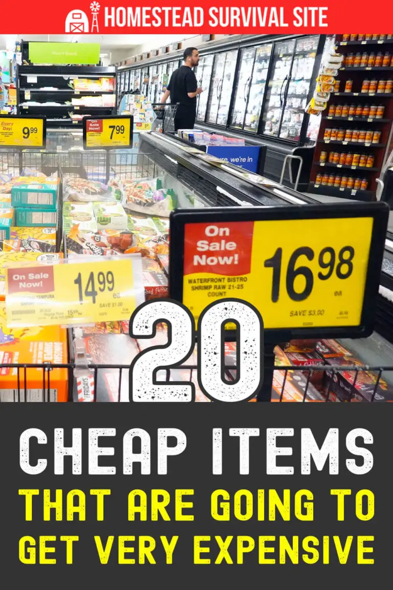 20 Cheap Items That Are Going to Get Very Expensive