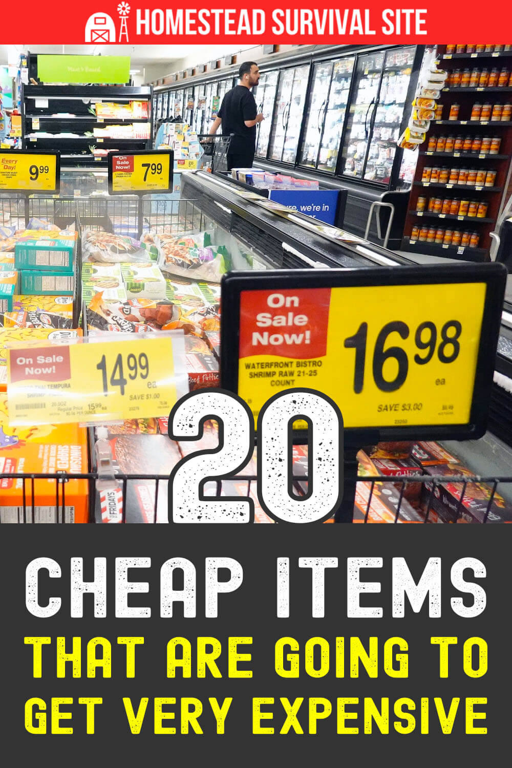 20 Cheap Items That Are Going to Get Very Expensive