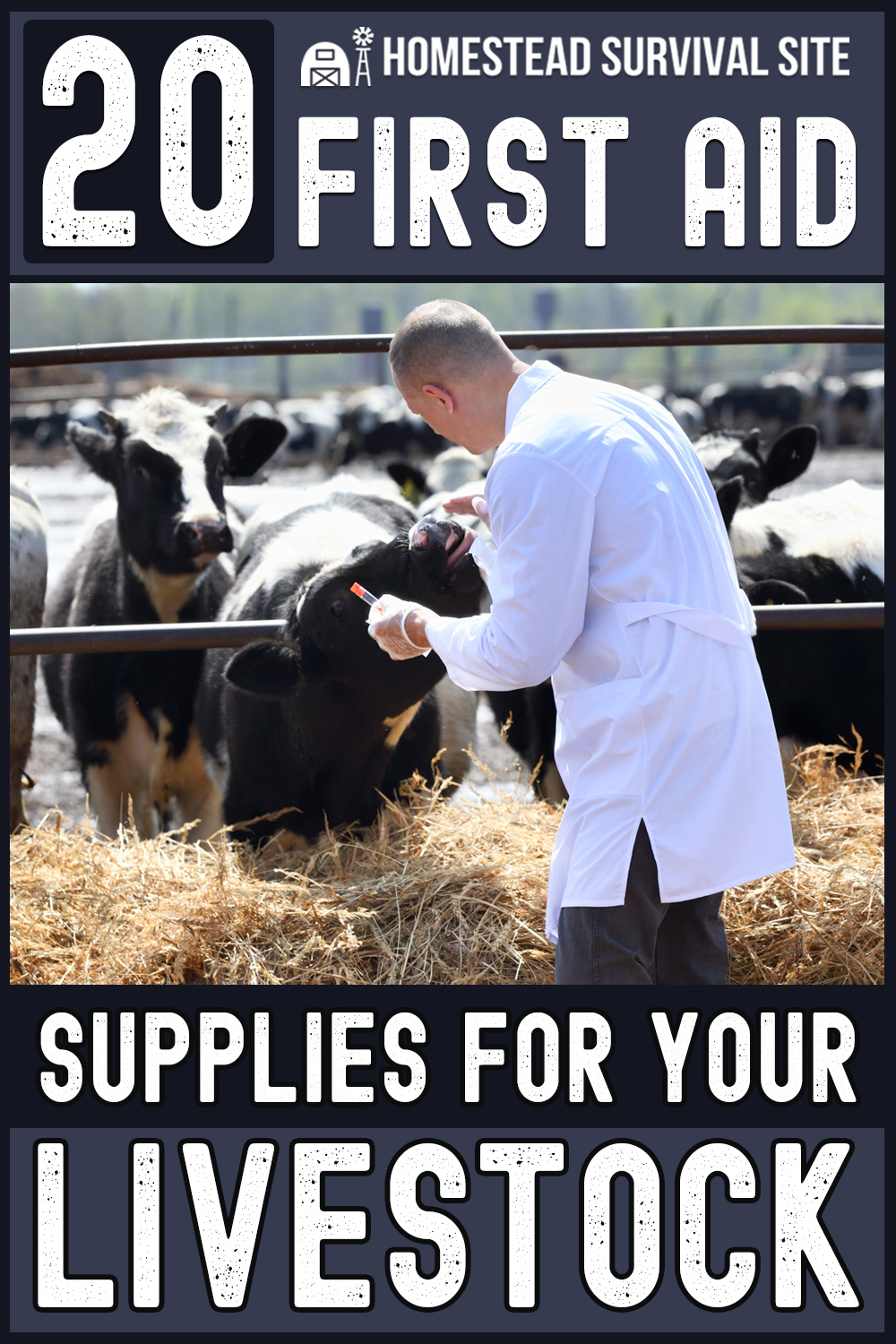 20 First Aid Supplies for Your Livestock