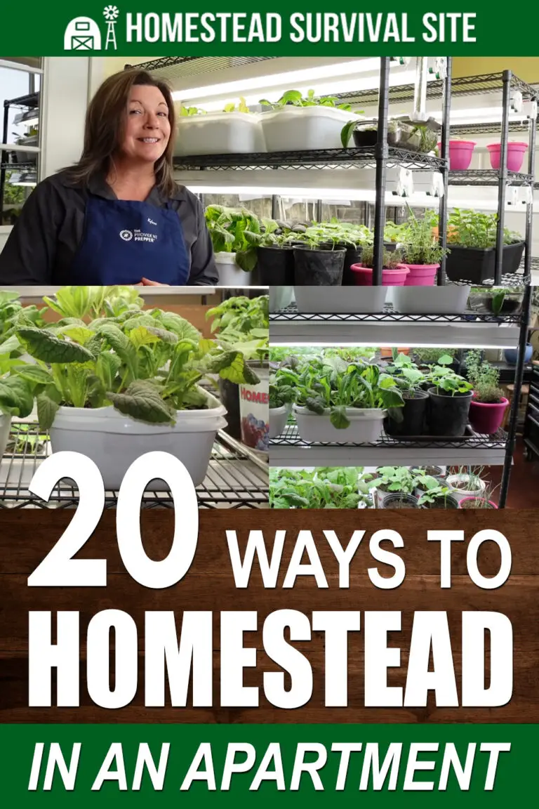 20 Ways To Homestead In An Apartment