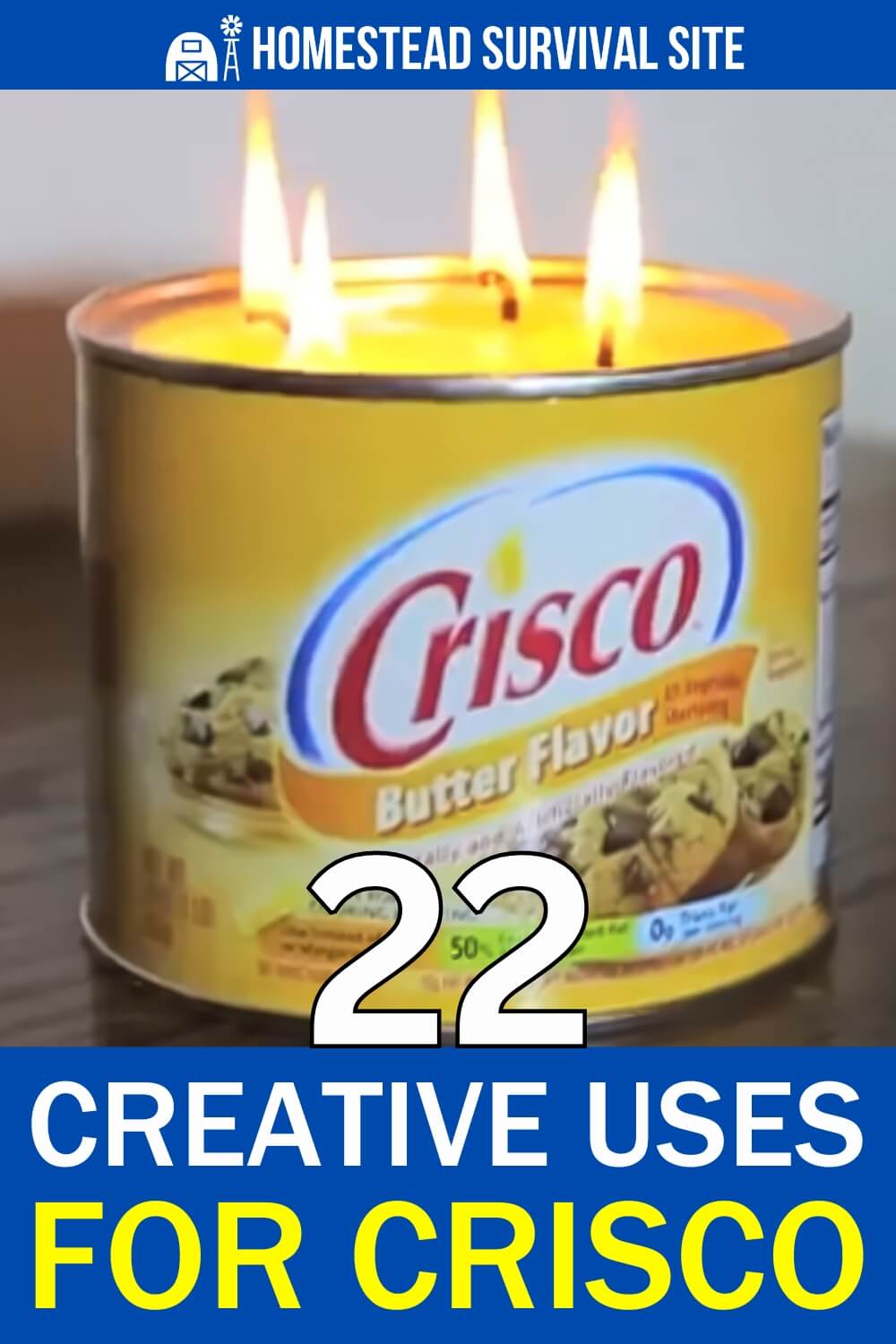 Daily Survival: 22 Creative Uses for Crisco