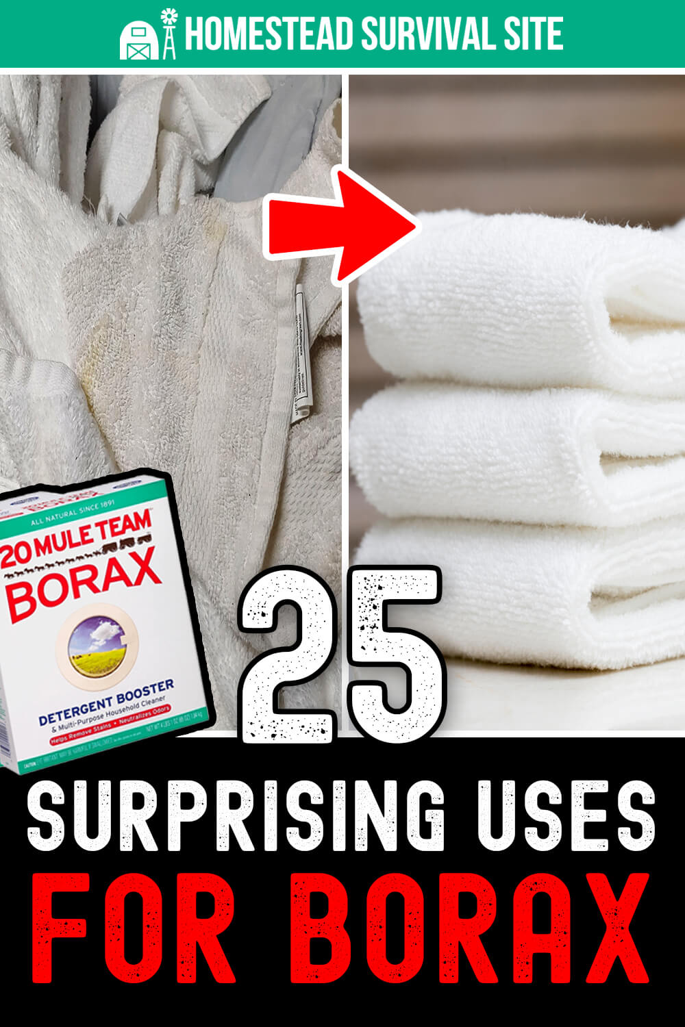 25 Surprising Uses For Borax