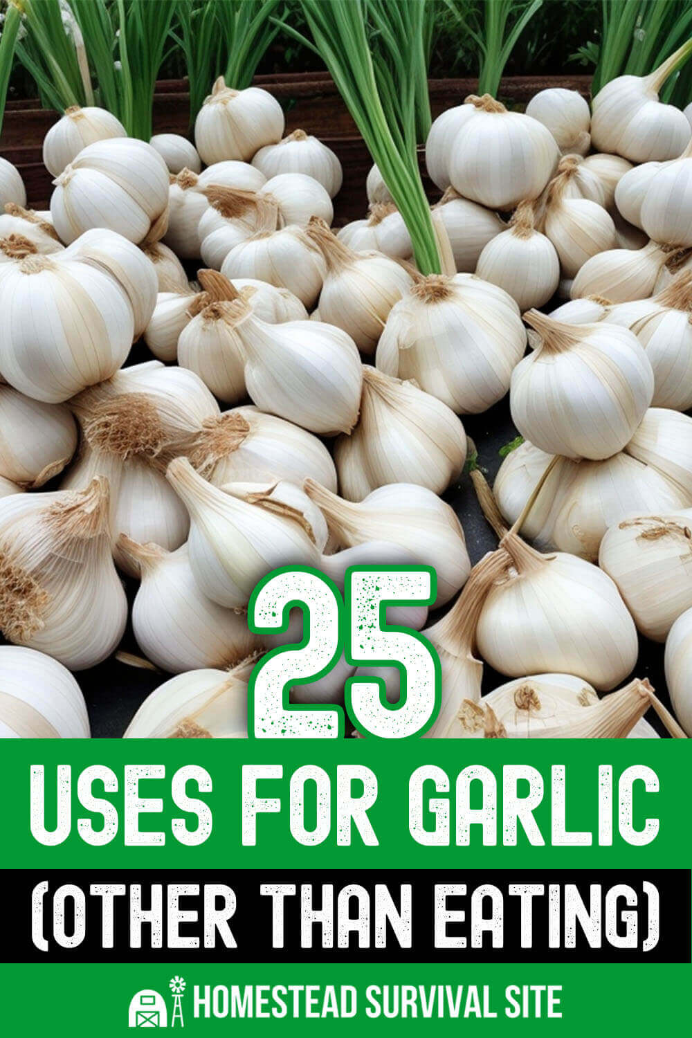 25 Uses for Garlic (Other Than Eating)