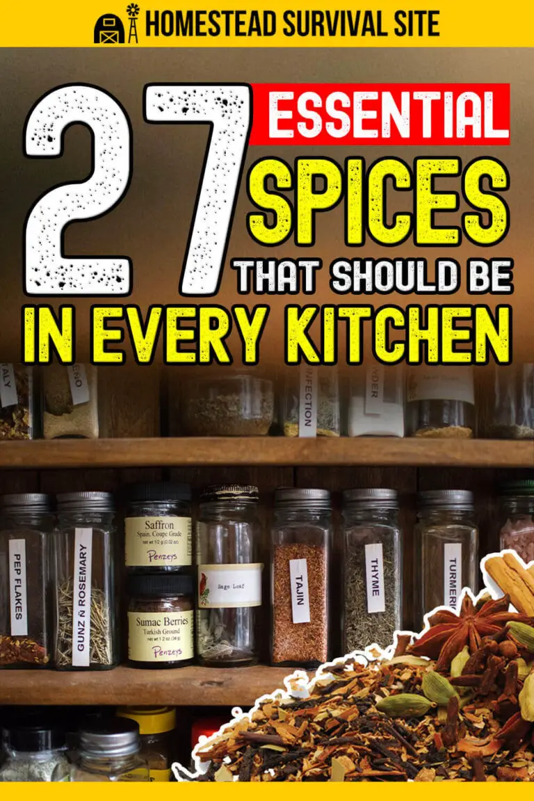 27 Essential Spices That Should Be In Every Kitchen