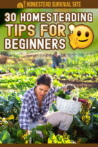 30 Homesteading Tips for Beginners