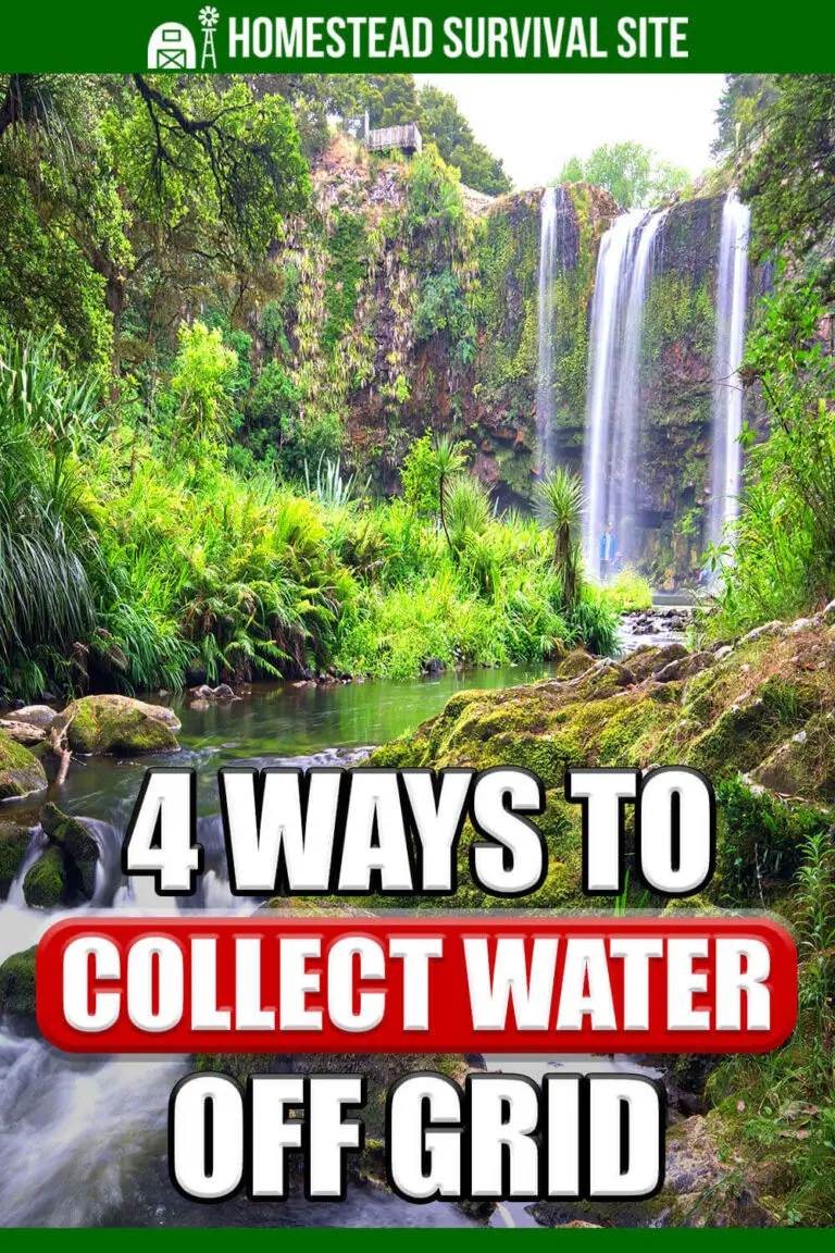 4 Ways to Collect Water When Living Off the Grid