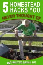 5 Homestead Hacks You Never Thought Of