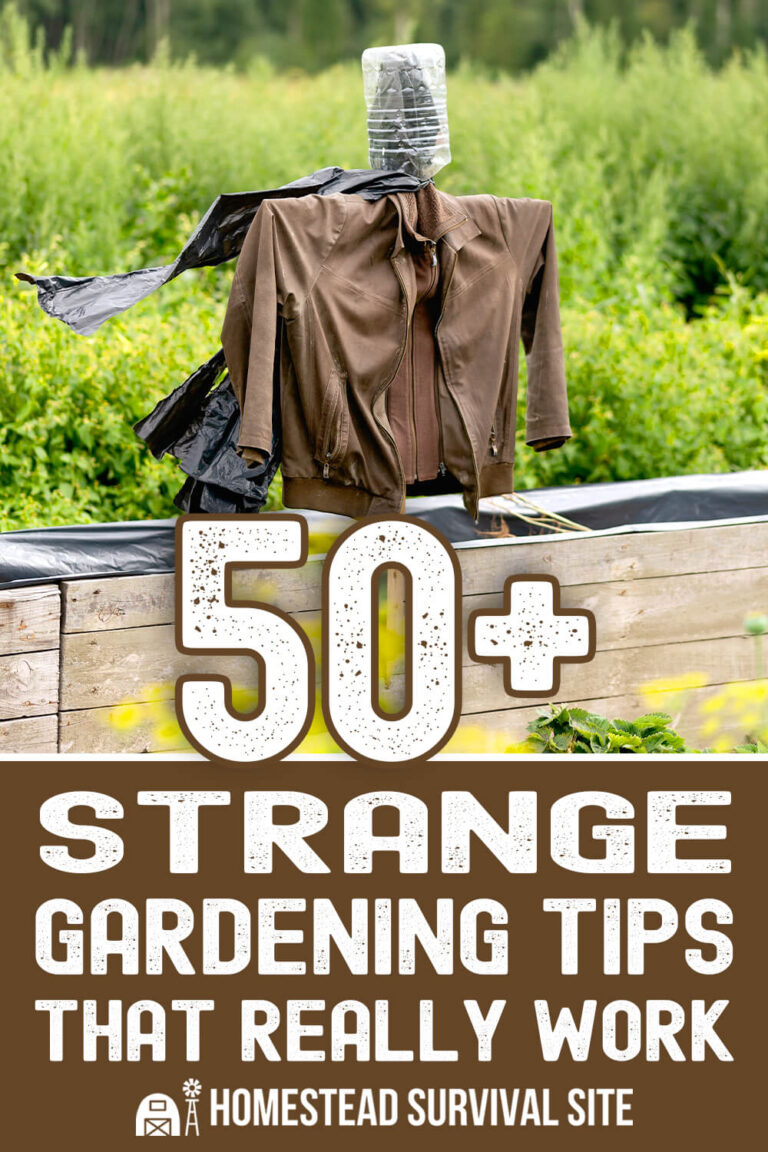 50+ Strange Gardening Tips That Really Work