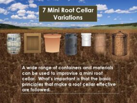 7 Ways to Build a Mini Root Cellar