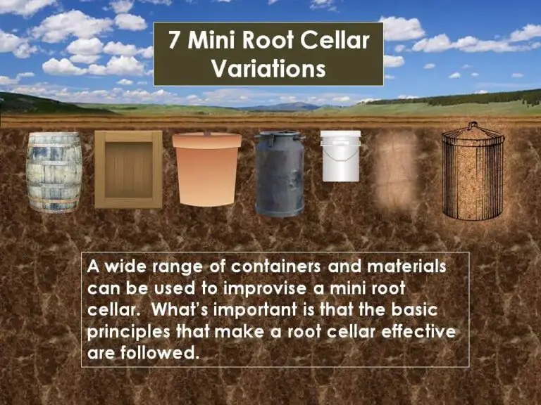 7 Ways to Build a Mini Root Cellar