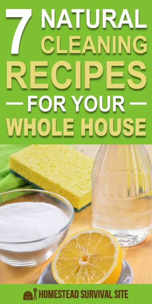 7 Natural Cleaning Recipes for Your Whole House