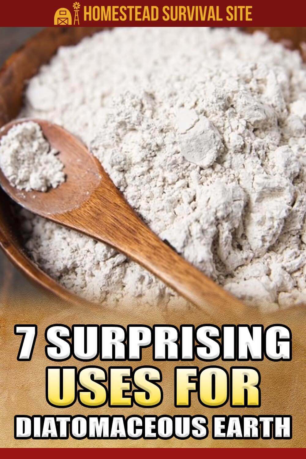 7 Surprising Uses For Diatomaceous Earth