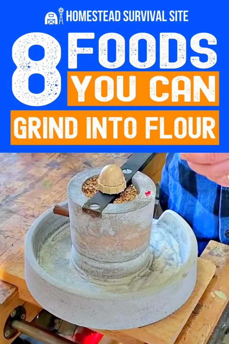 8 Foods You Can Grind Into Flour