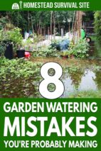 8 Garden Watering Mistakes You're Probably Making
