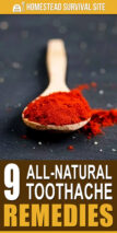 9 All-Natural Toothache Remedies