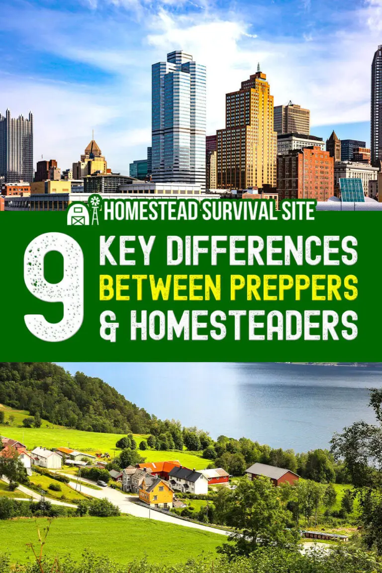 9 Key Differences Between Preppers & Homesteaders
