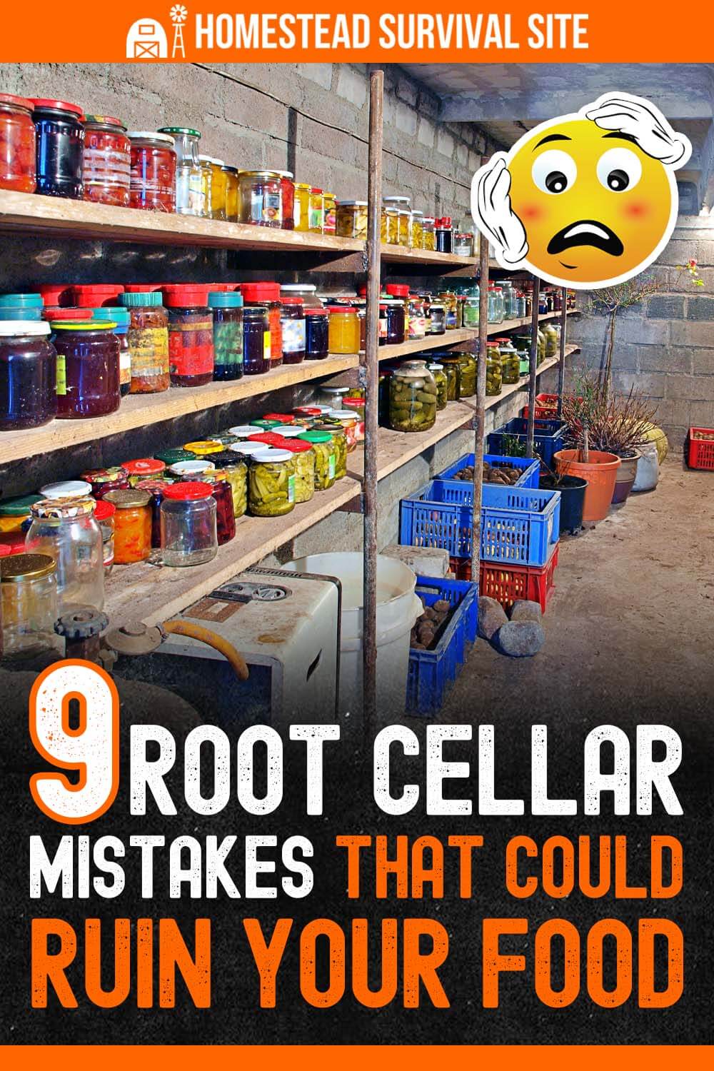 9 Root Cellar Mistakes That Could Ruin Your Food