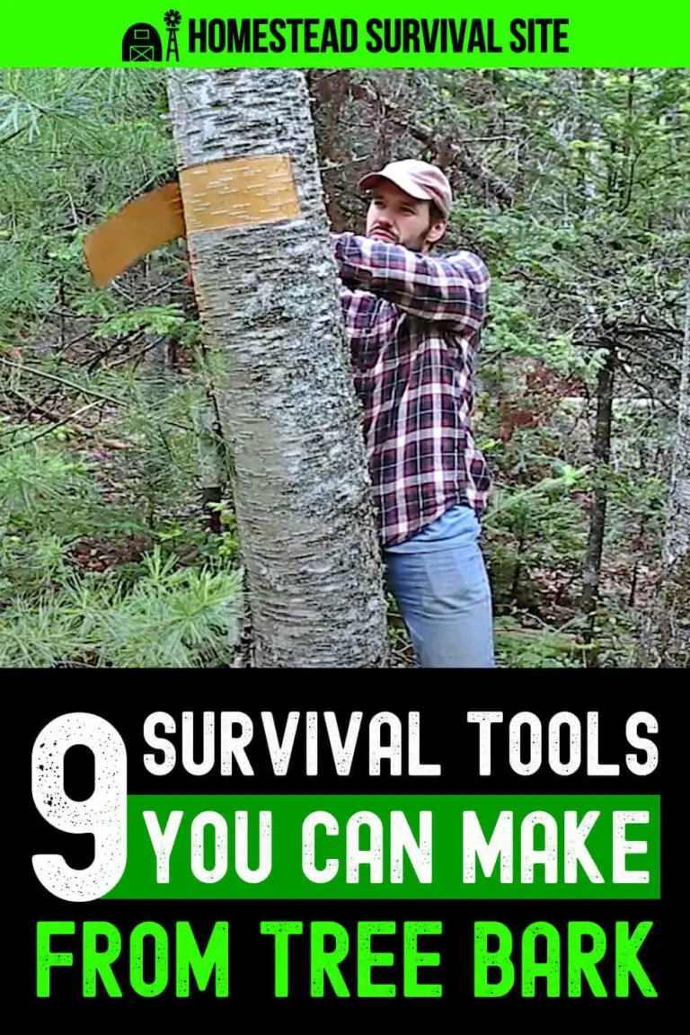 9 Survival Tools You Can Make From Tree Bark