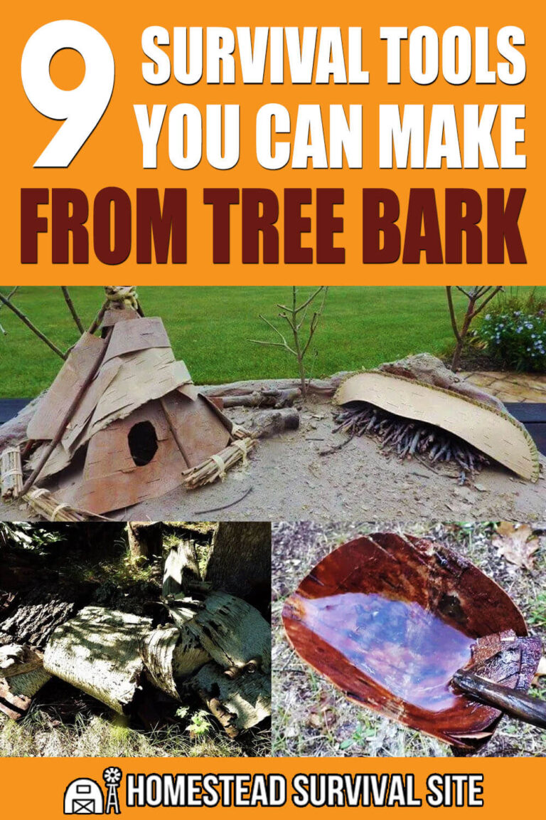 9 Survival Tools You Can Make From Tree Bark - Homestead Survival Site