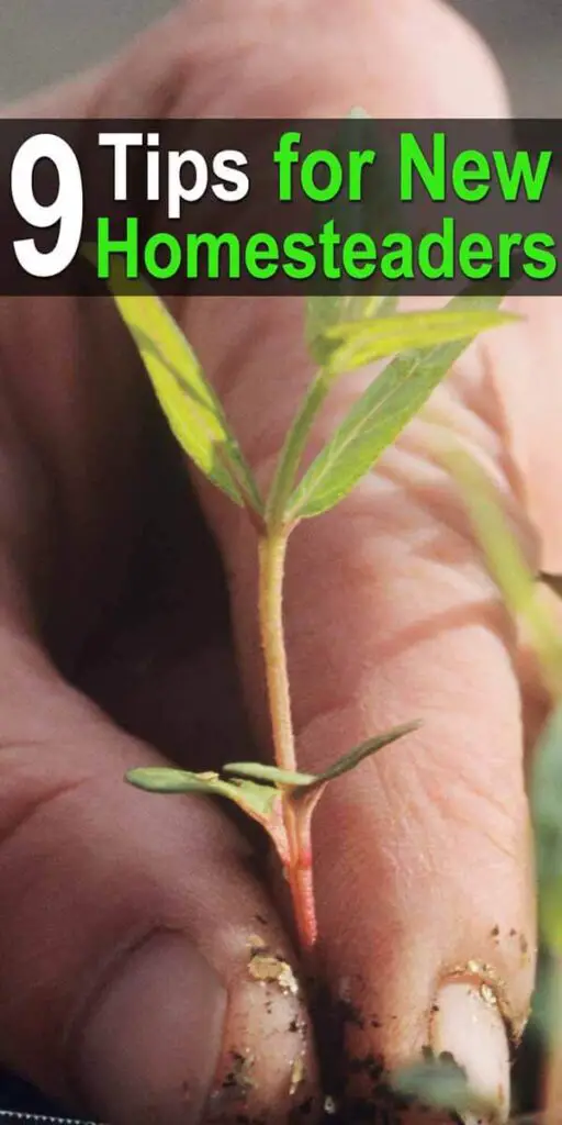 9 Tips for New Homesteaders