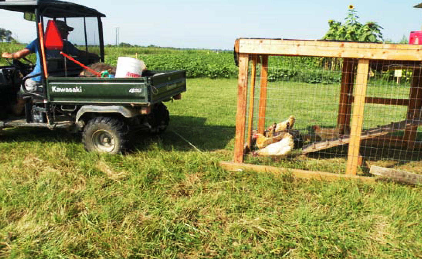 The Complete Guide to Building a Chicken Tractor