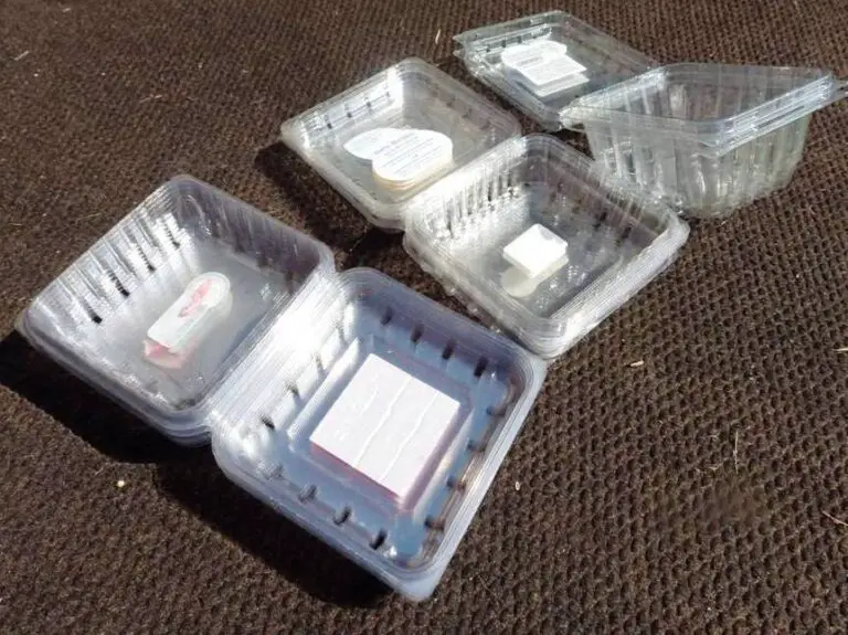 How to Build a Survival Seed Bank That Will Last for Years