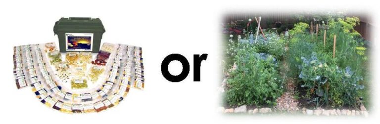 How to Build a Survival Seed Bank That Will Last for Years