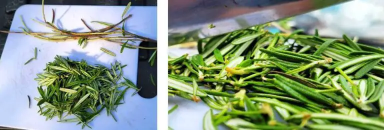 How to Make and Use Rosemary Oil