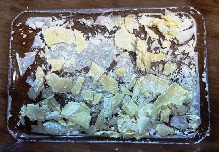 How to Make Powdered Milk