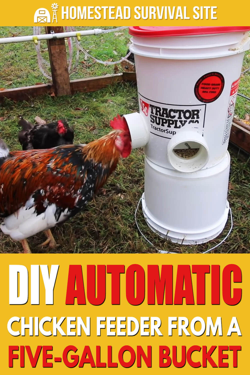 Homemade Automatic Chicken Feeder Generic DIY Automatic Poultry