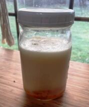 How to Make Beef Tallow At Home
