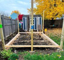 How to Build a Greenhouse in Your Backyard