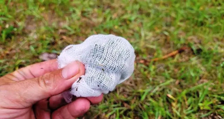 How to Make a DIY Poultice for Cuts and Scrapes