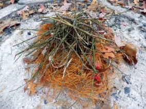 8 Ways to Build a Fire