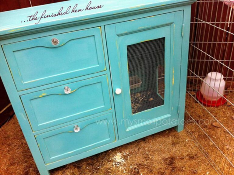 16 Easy Chicken Coop Designs