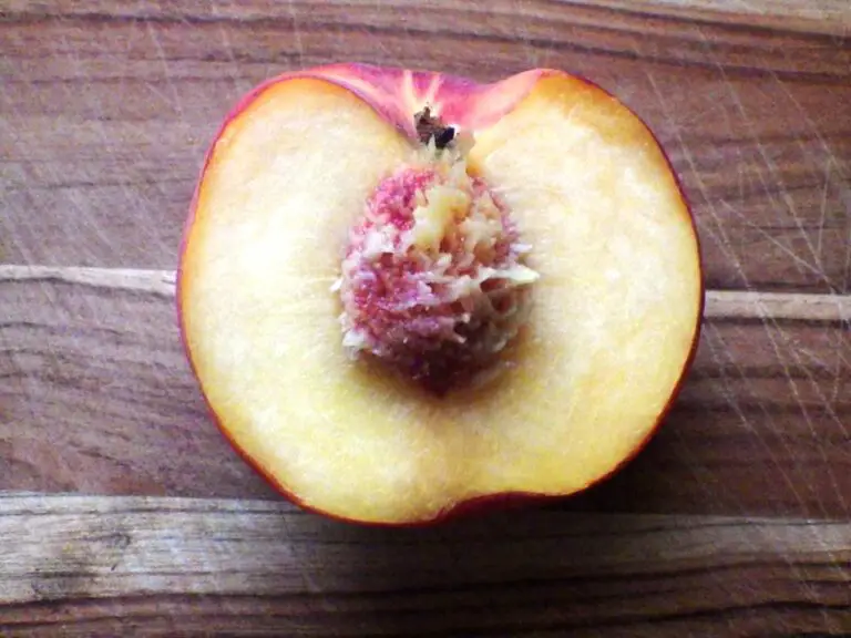 How to Build a Survival Seed Bank That Will Last for Years