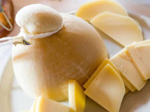 All The Ways to Make Cheese