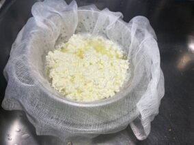 How to Make Paneer Cheese at Home