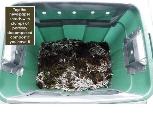 Create Endless Fertilizer for Your Garden With Vermicomposting