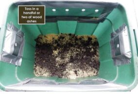 Create Endless Fertilizer for Your Garden With Vermicomposting
