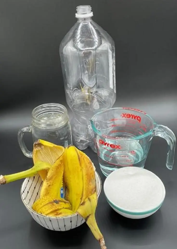 2 DIY Mosquito Traps That Are Easy To Make